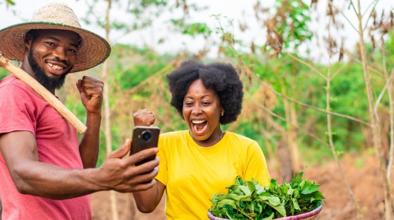 Meridian Seeds and Nursery – Quality Seeds To Farmers Everywhere