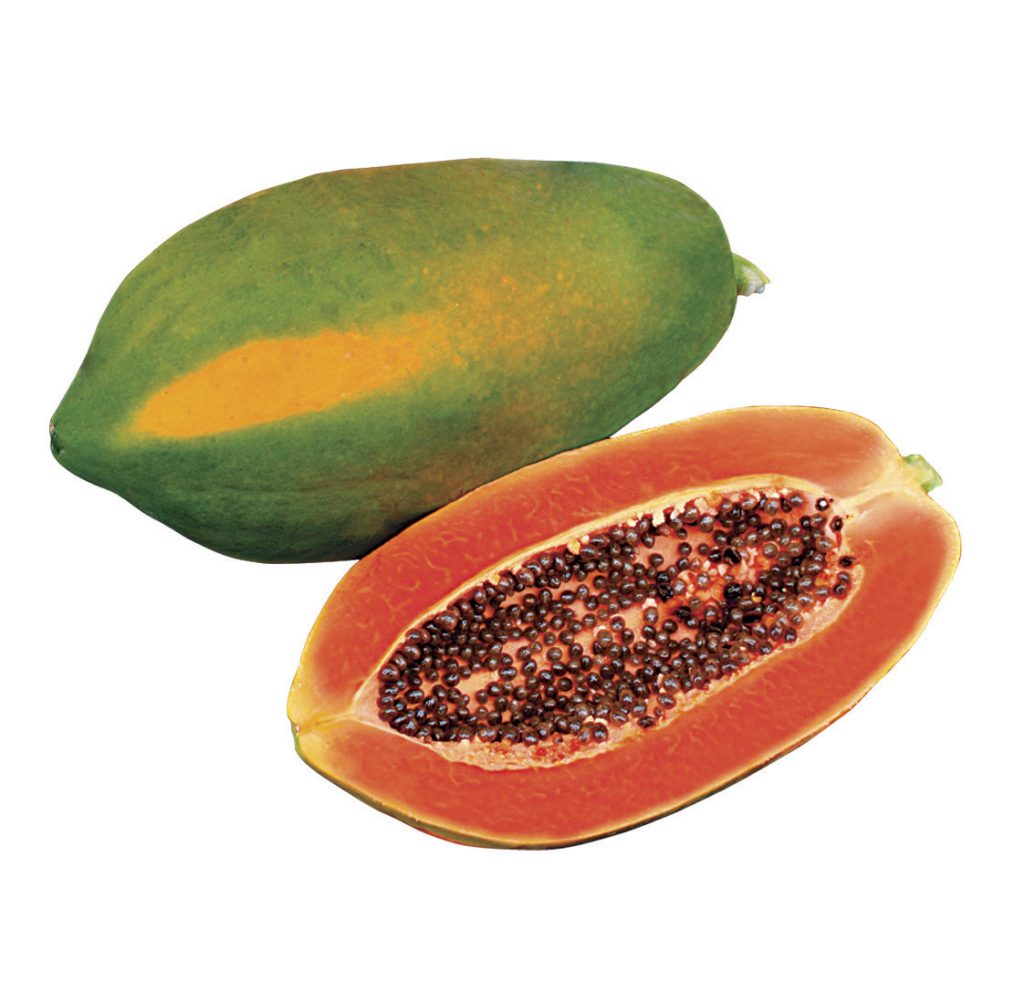 Papaya Red Royale F1 - 5g - Meridian Seeds and Nursery Ltd.