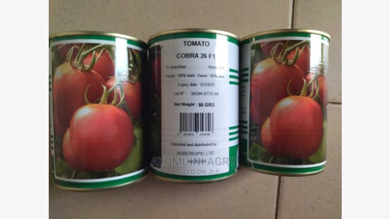 Tomato Cobra F1 - Meridian Seeds and Nursery Ltd.