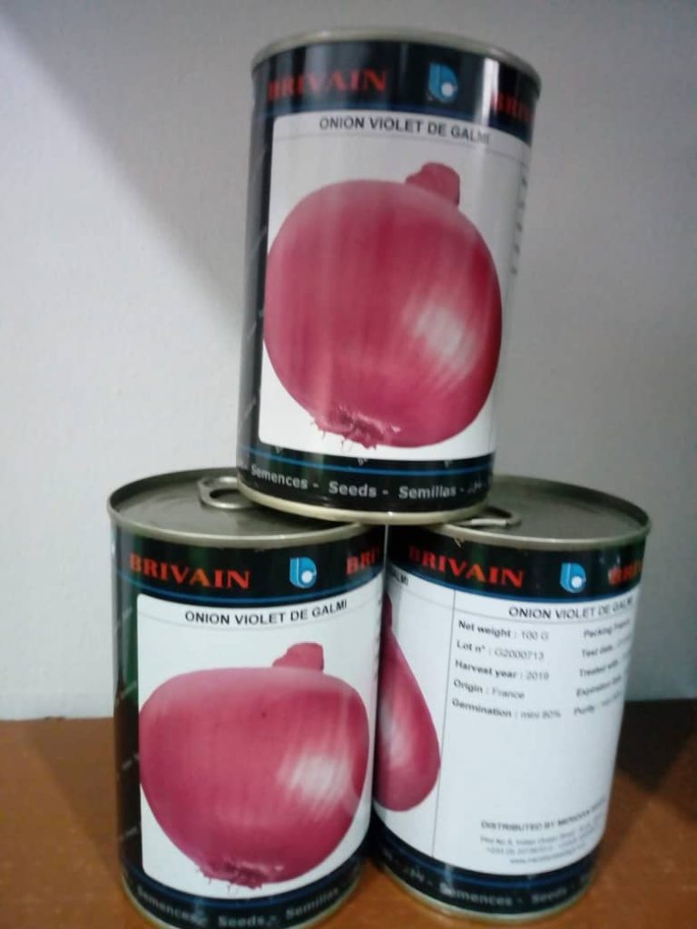 Violet De Galmi - 100g - Meridian Seeds and Nursery Ltd.