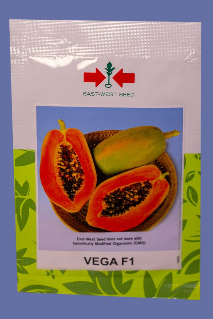 Papaya Vega F1 - 10 Seeds - Meridian Seeds and Nursery Ltd.